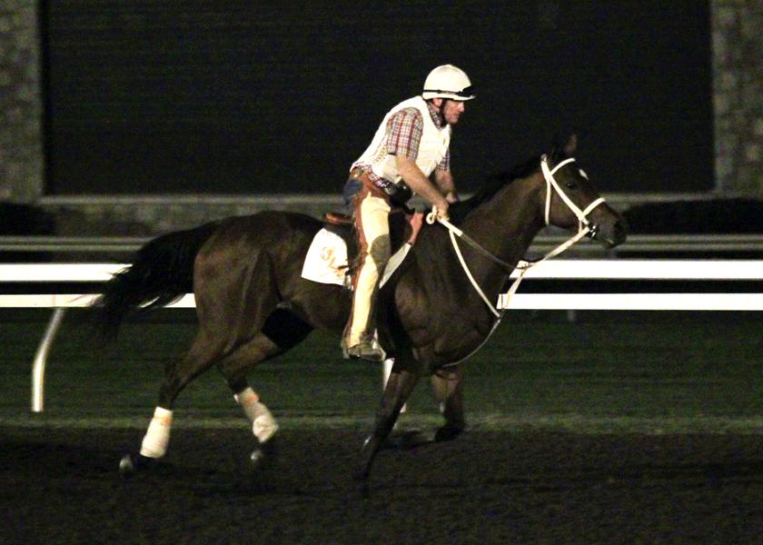 Havre de Grace gallops at Keeneland under trainer Larry Jones. Image ...