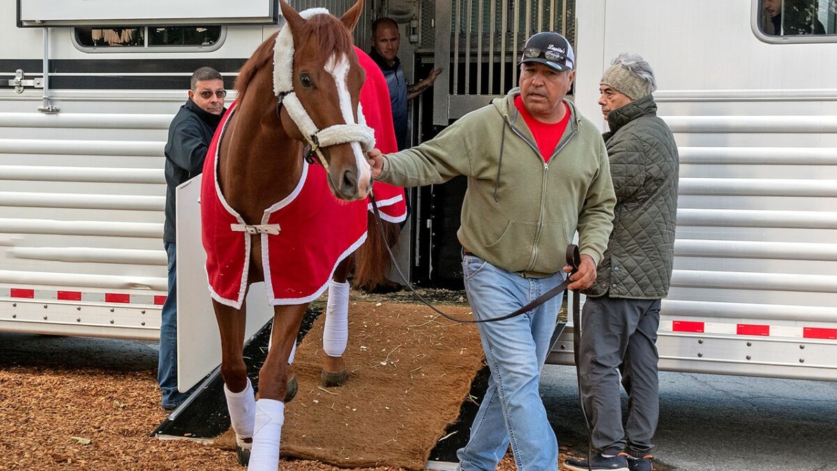 Preakness Stakes and Pimlico Next Stage for No. 1 Mage – NTRA
