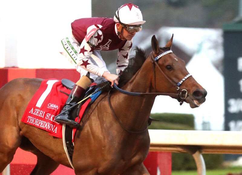 Reigning Horse of the Year Thorpedo Anna Moves to No. 1 in NTRA Top ...